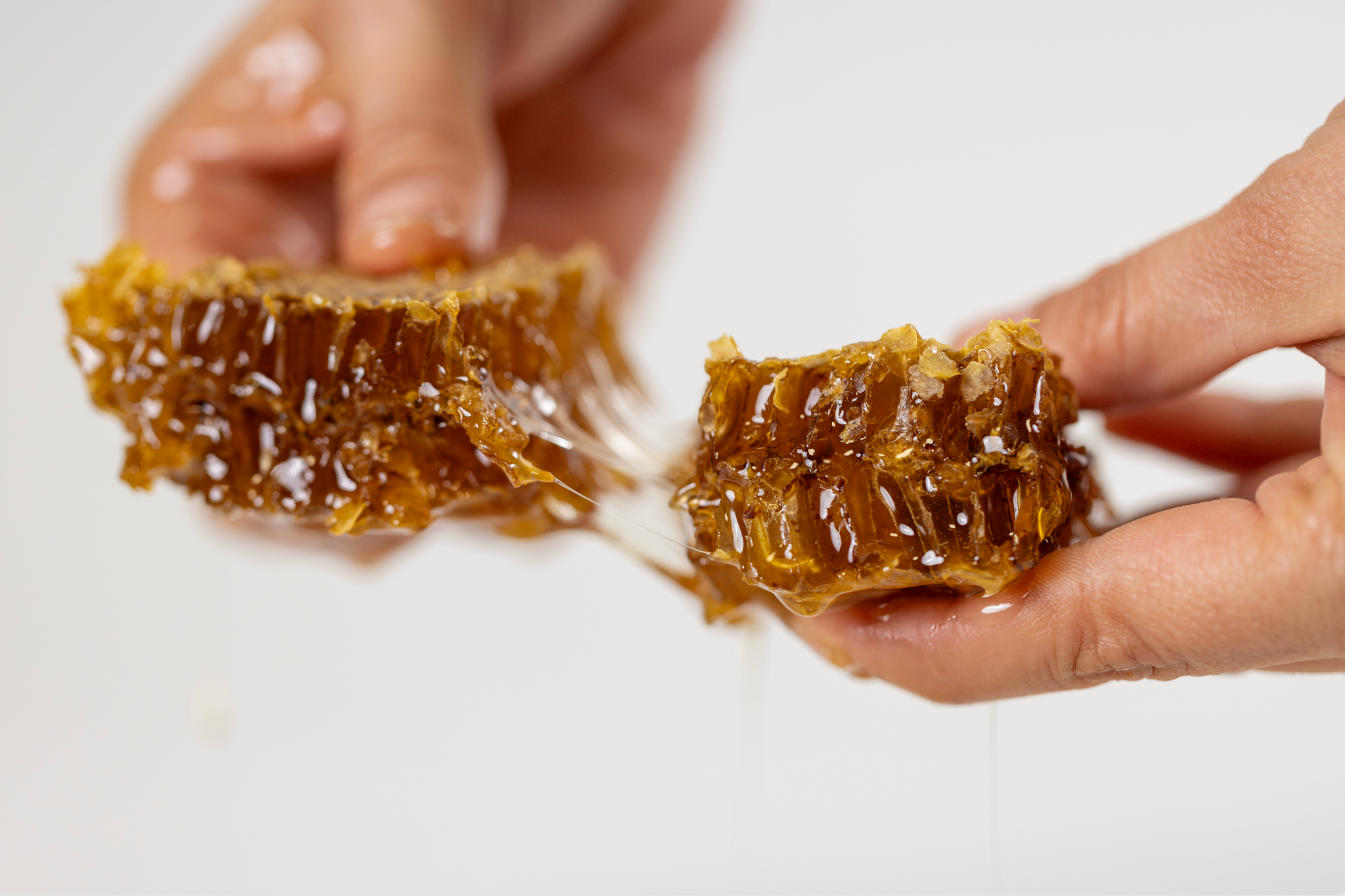 In Search of Real Honey: Authentic Honeycomb Honey from Tunceli to You